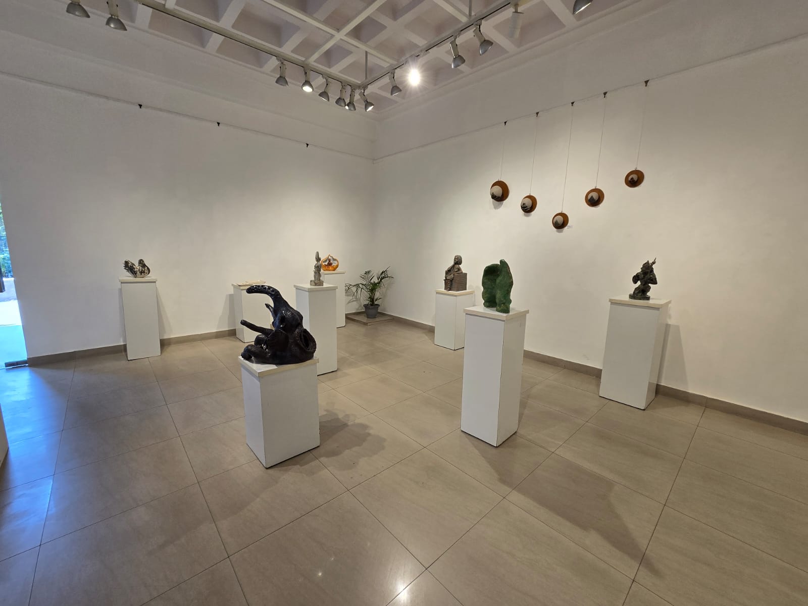 2025 - Triveni - Gallery 1 - Prenita Dutt