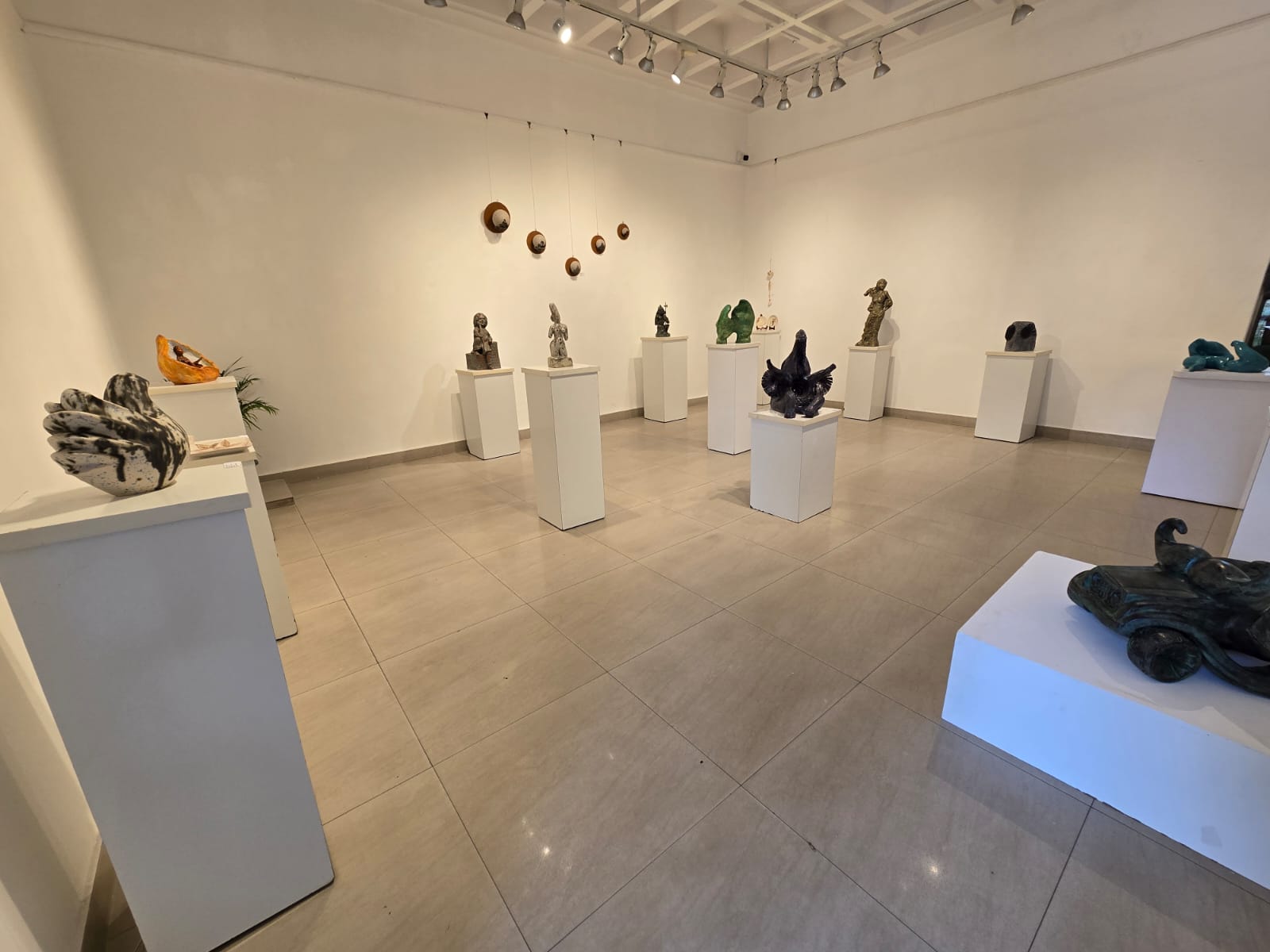 2025 - Triveni - Gallery 1 - Prenita Dutt